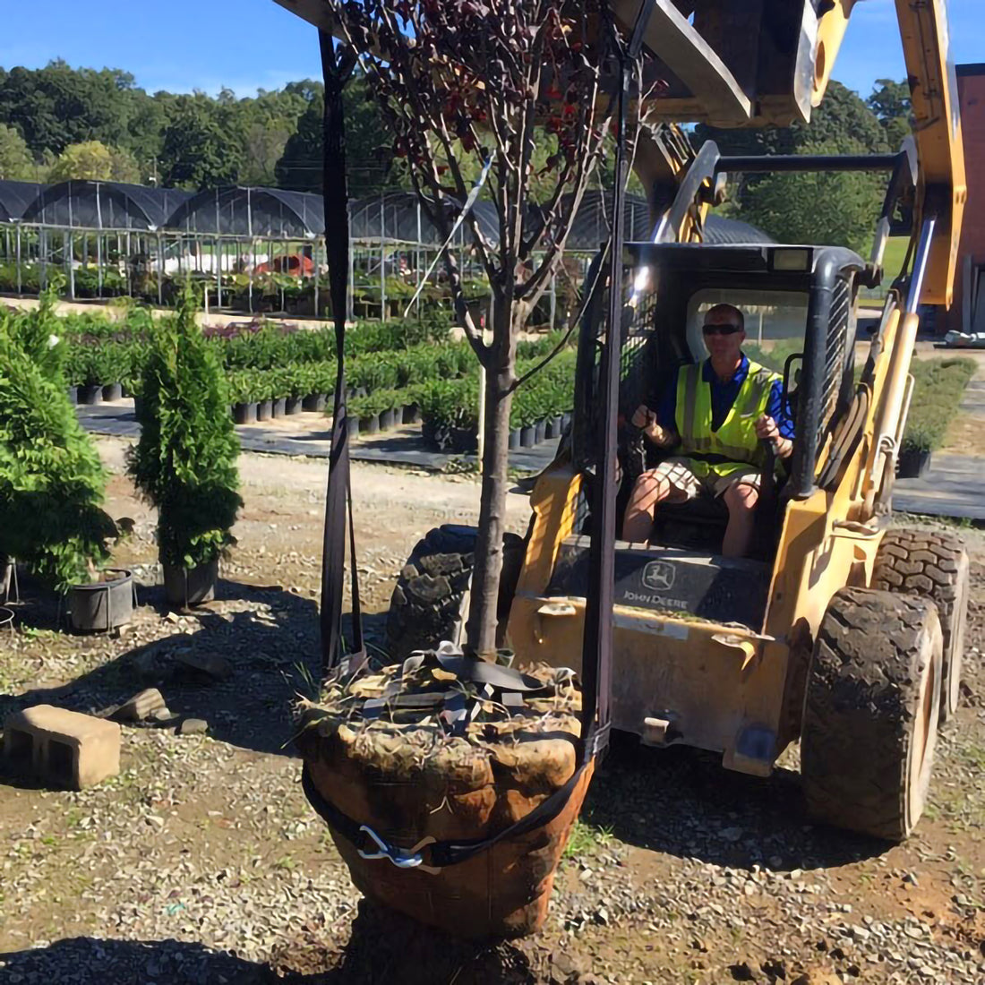 The B&B Tree Buddy 3000 LP – Link Masters