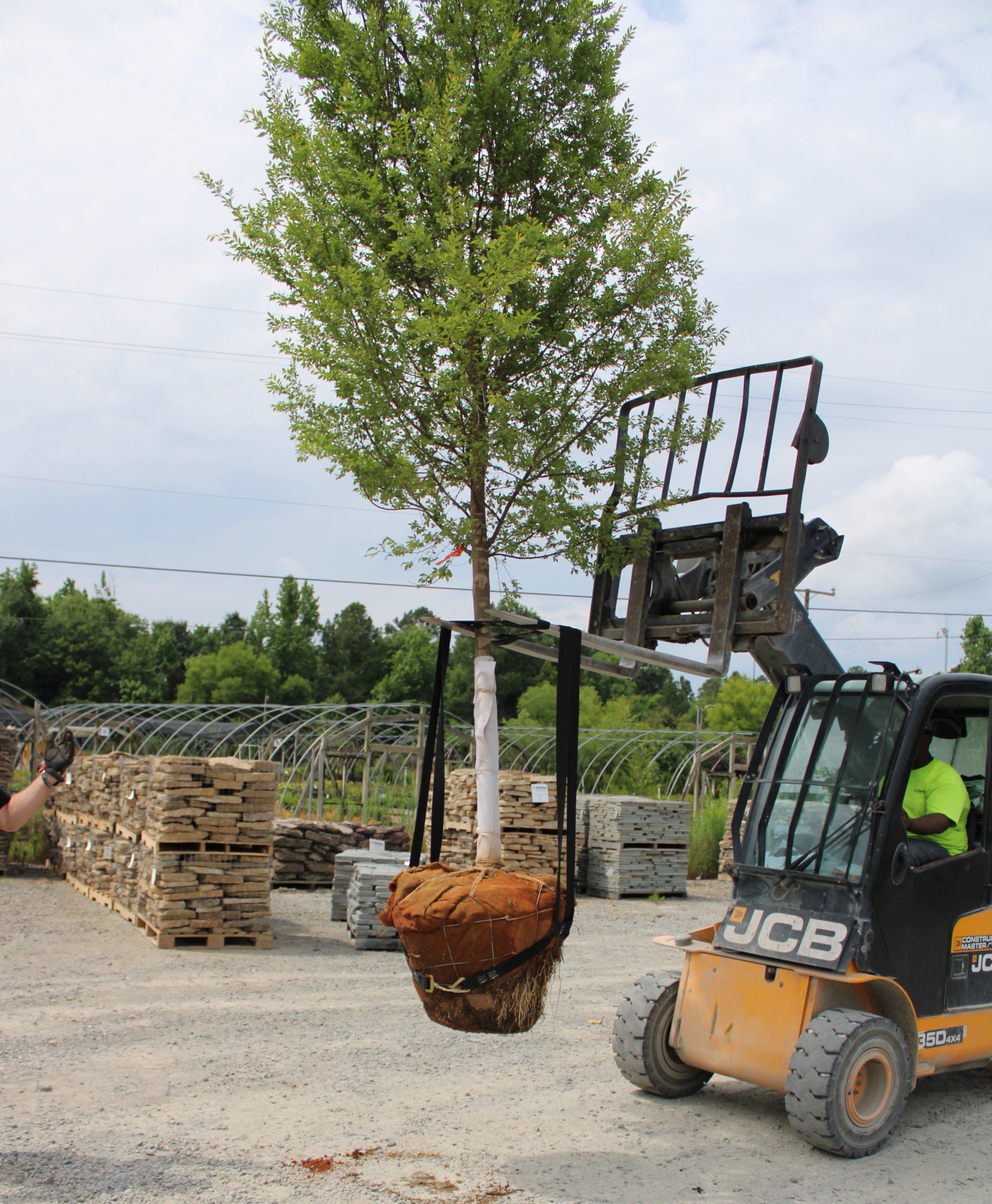 The B&B Tree Buddy 3000 – Link Masters